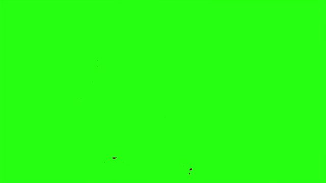 Green Screen – ineedfx.com