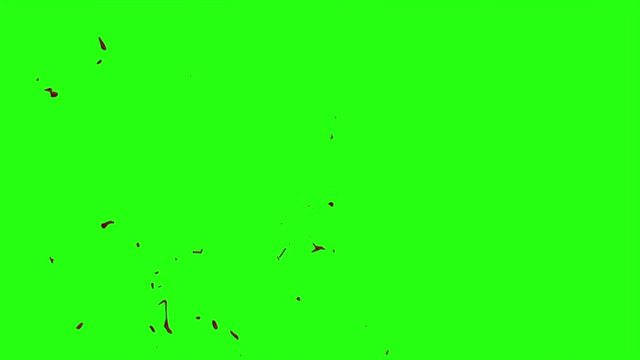Green Screen – ineedfx.com