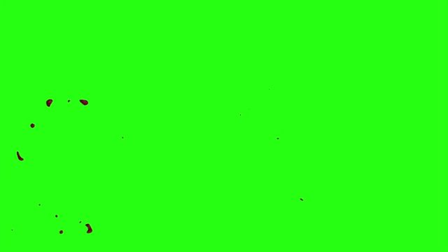 Green Screen – ineedfx.com