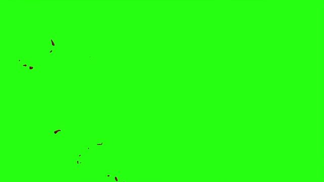 Green Screen – ineedfx.com