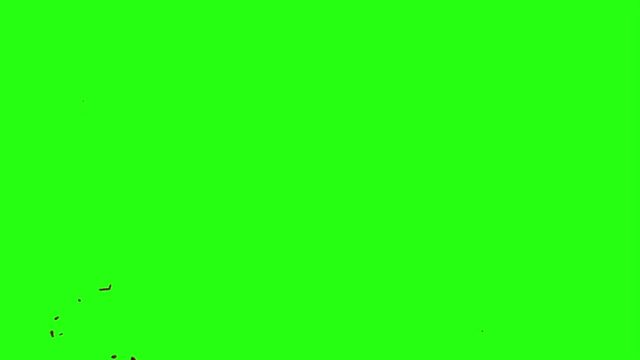 Green Screen – ineedfx.com