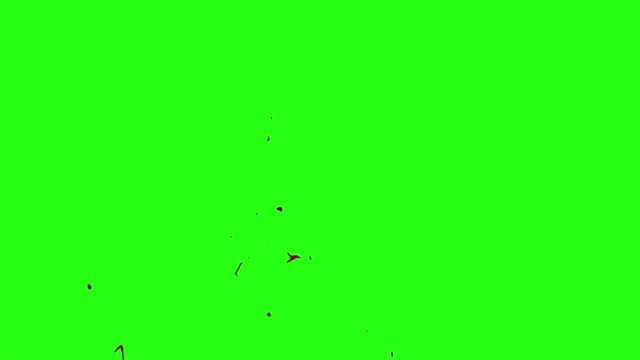 Green Screen – ineedfx.com