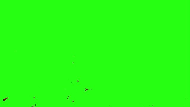 Green Screen Archives - ineedfx.com