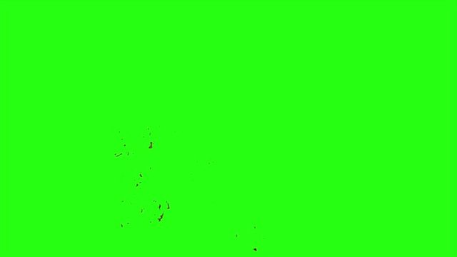 Green Screen Archives - ineedfx.com