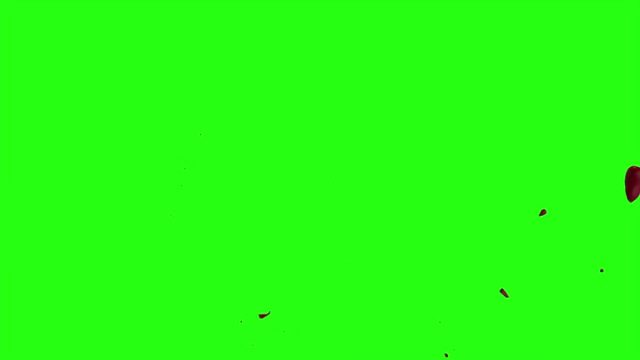 Green Screen Archives - ineedfx.com