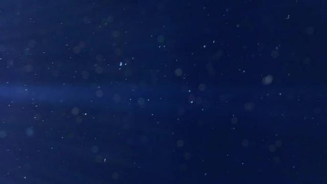 Particles – ineedfx.com